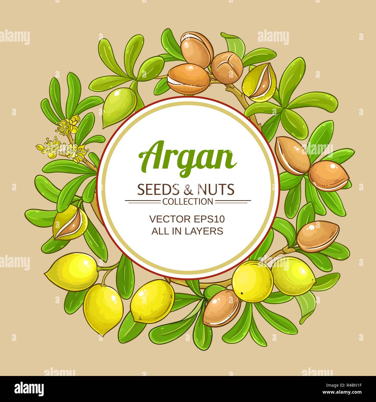 argan vector frame on color background Stock Vector Image & Art - Alamy