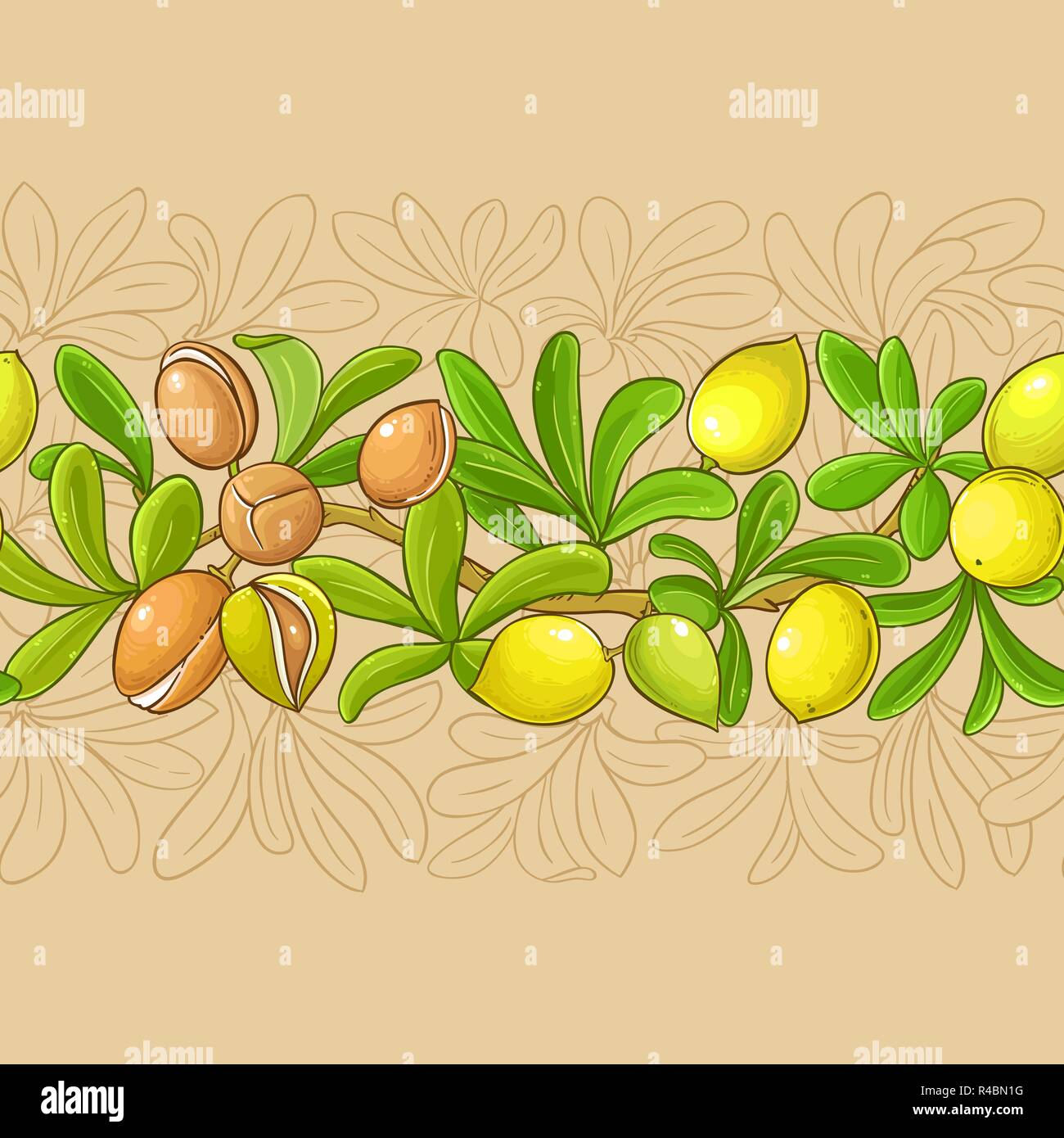 Argan oil vector vectors hi-res stock photography and images - Alamy