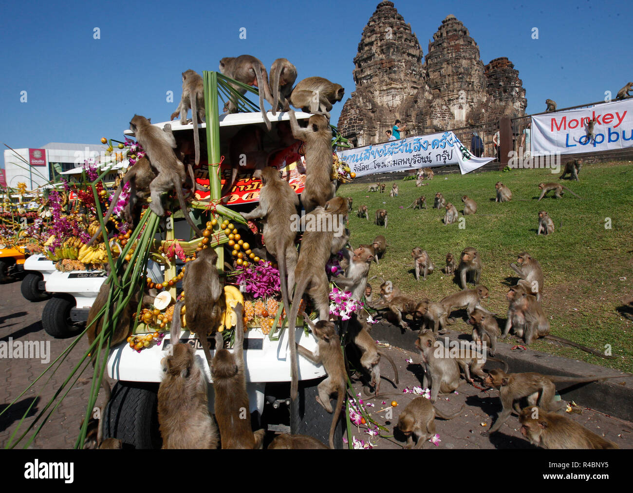 Monkey buffet thailand hi-res stock photography and images - Alamy