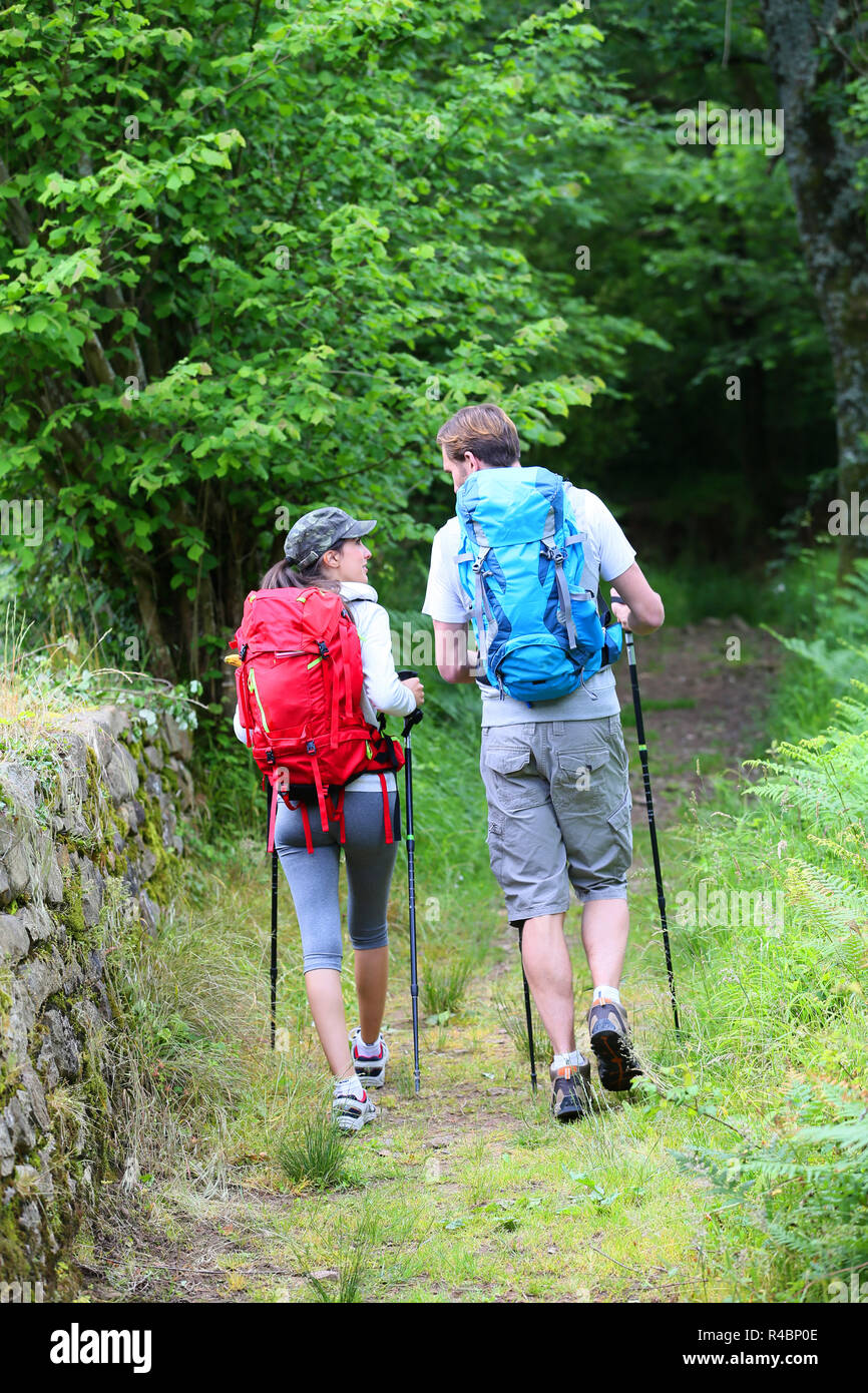 Back view of couple of hikers walking in forest path Stock Photo - Alamy