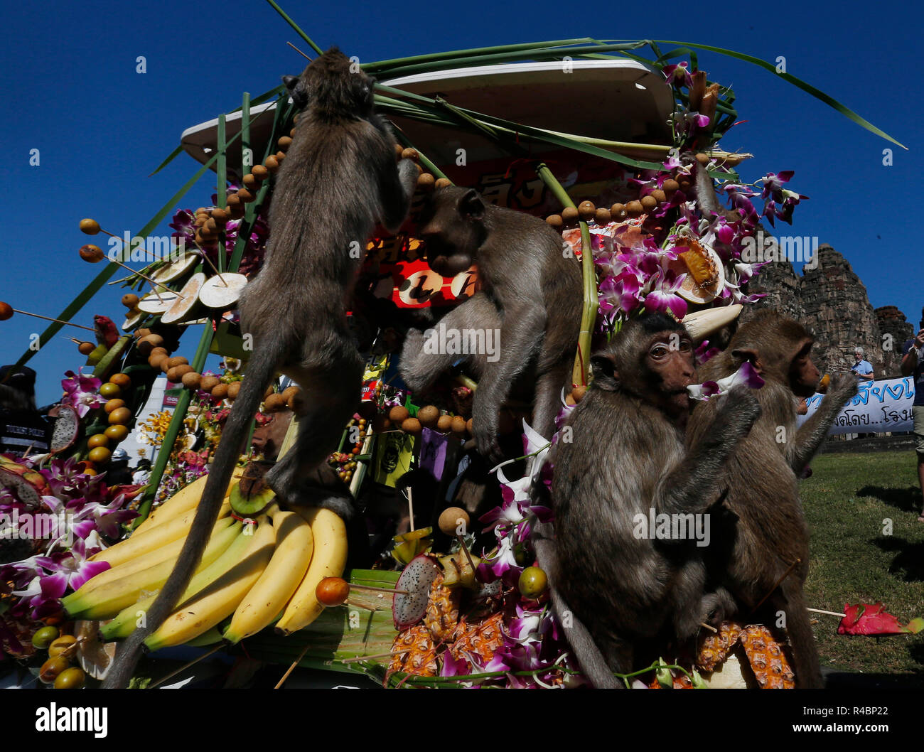 Lopburi, Thailand. 25th Nov, 2018. Monkeys eat fruits and vegetables ...