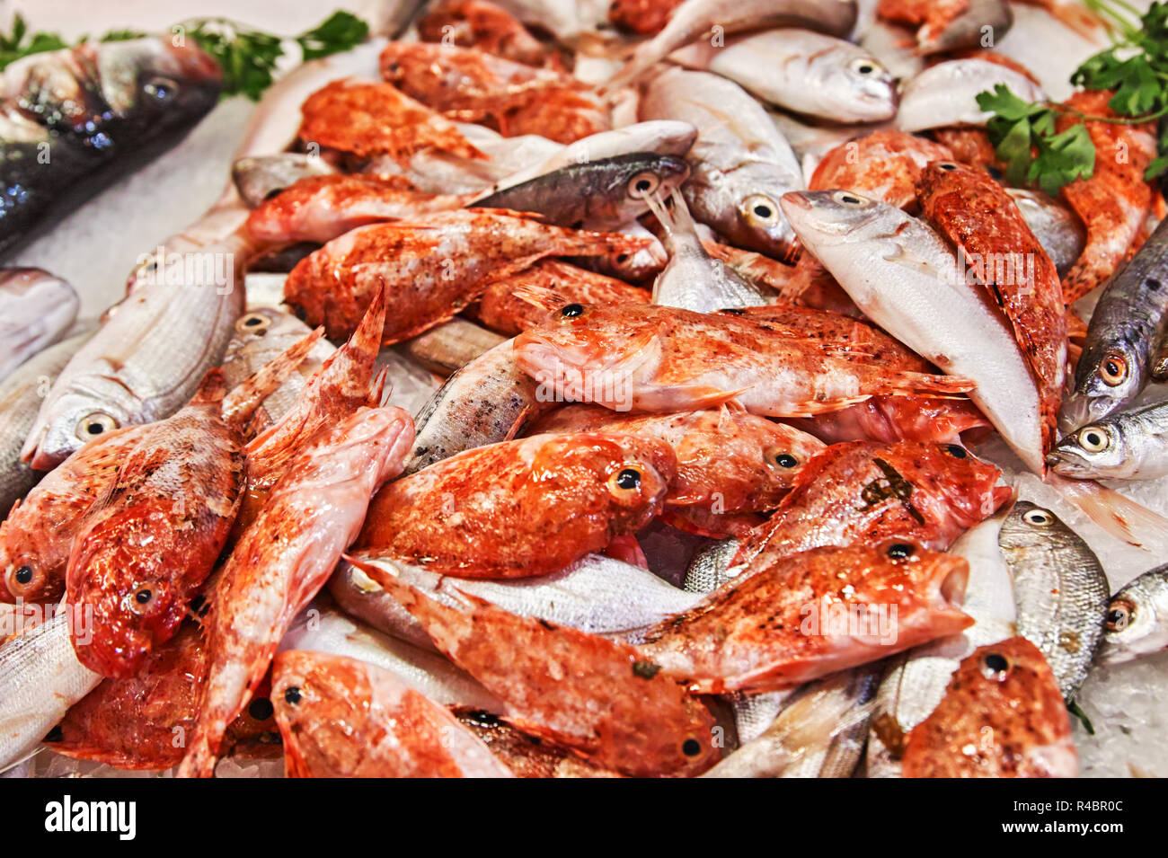 fish in the market Stock Photo - Alamy