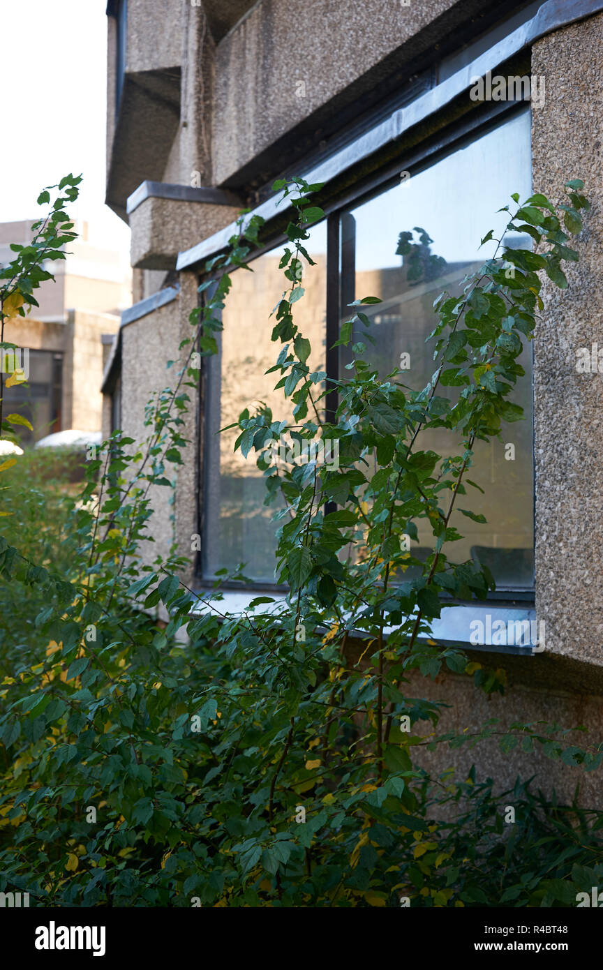 Ashley Building, University of Birmingham, Birmingham, UK Stock Photo ...