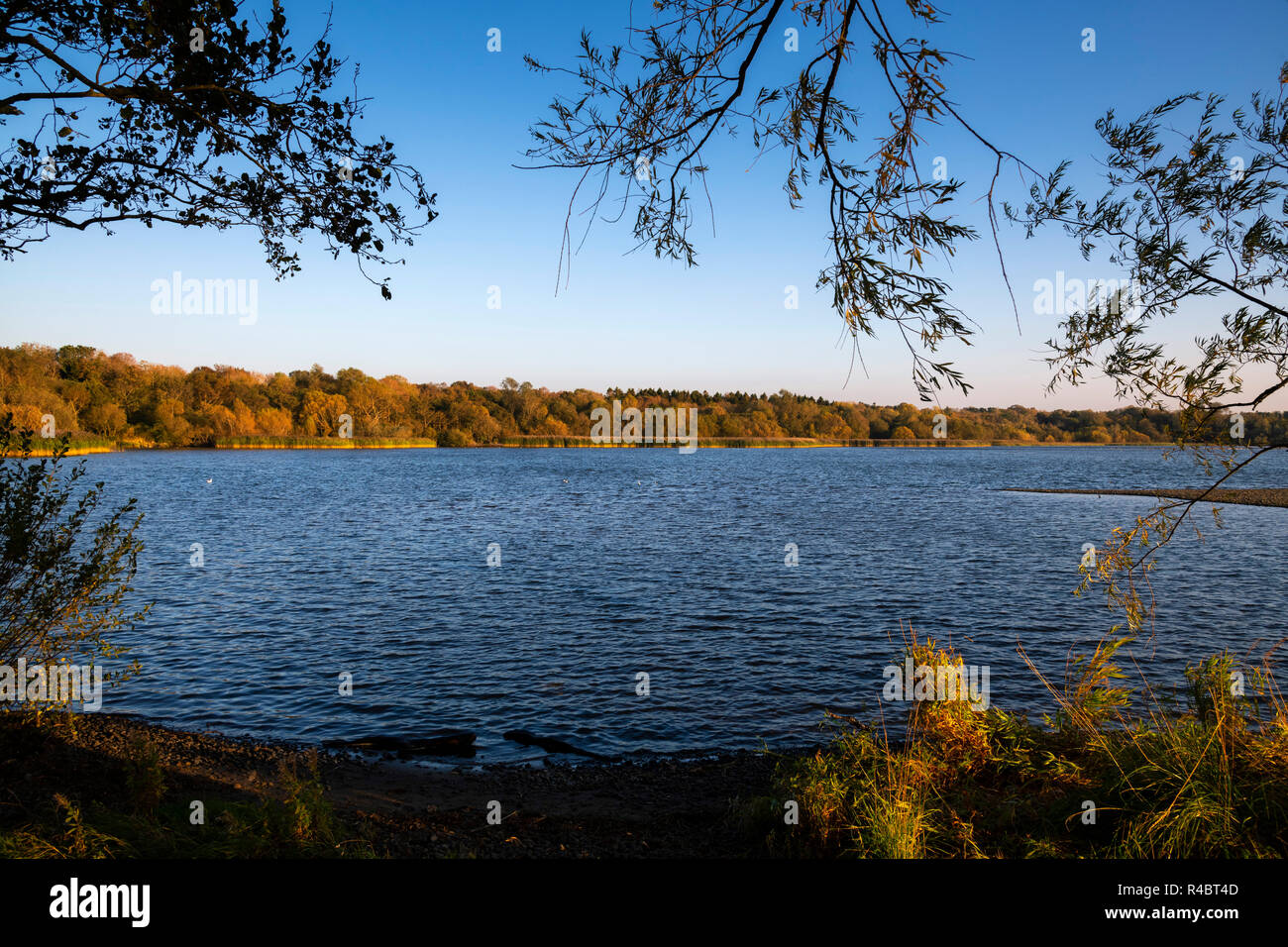 Lough neagh walking hi-res stock photography and images - Alamy