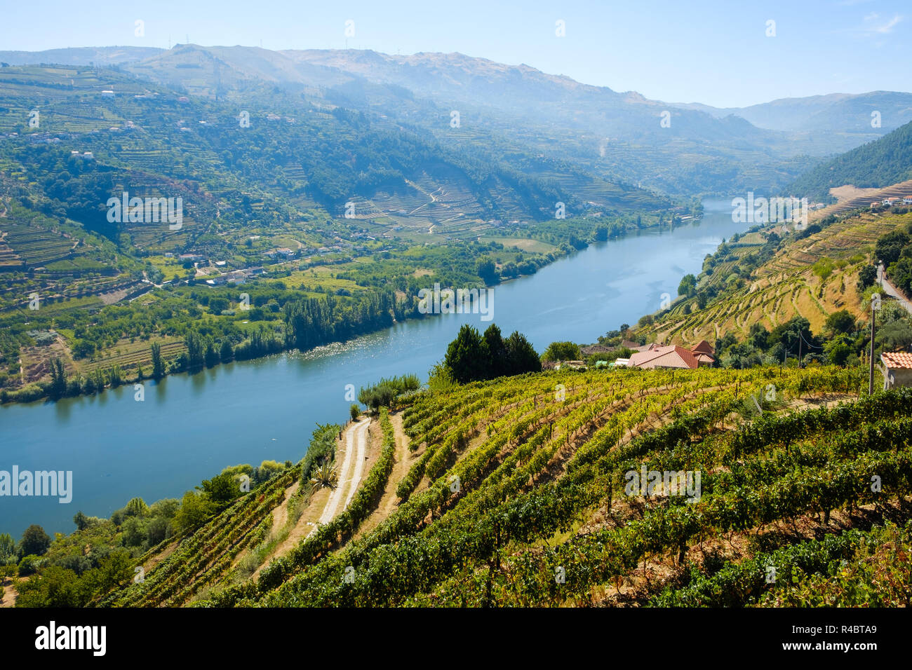 Mesao frio douro port hi-res stock photography and images - Alamy