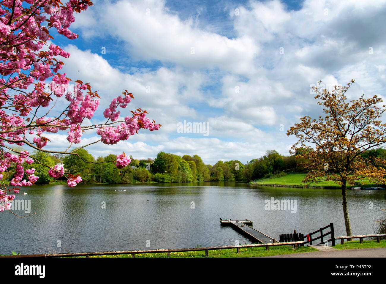 Dungannon hi-res stock photography and images - Alamy