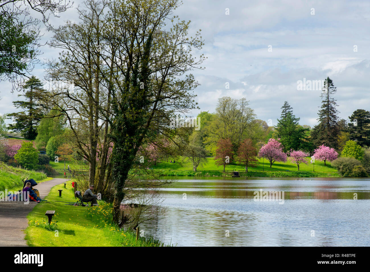 Dungannon park hi-res stock photography and images - Alamy