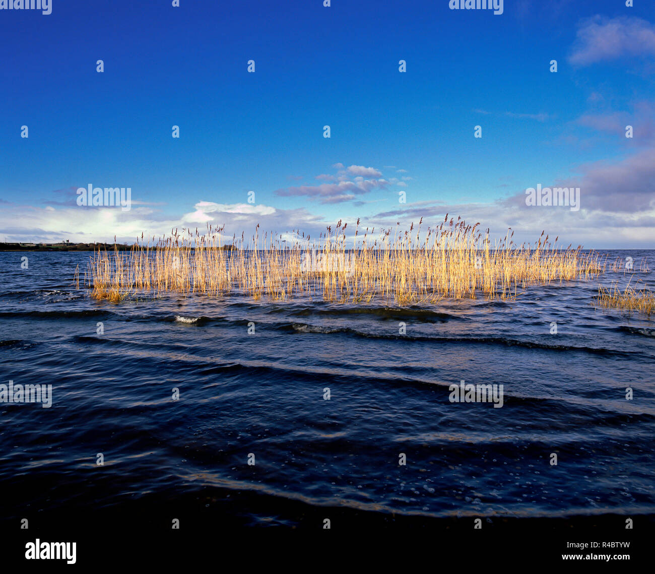 Lough Neagh in Northern Ireland Stock Photo - Alamy