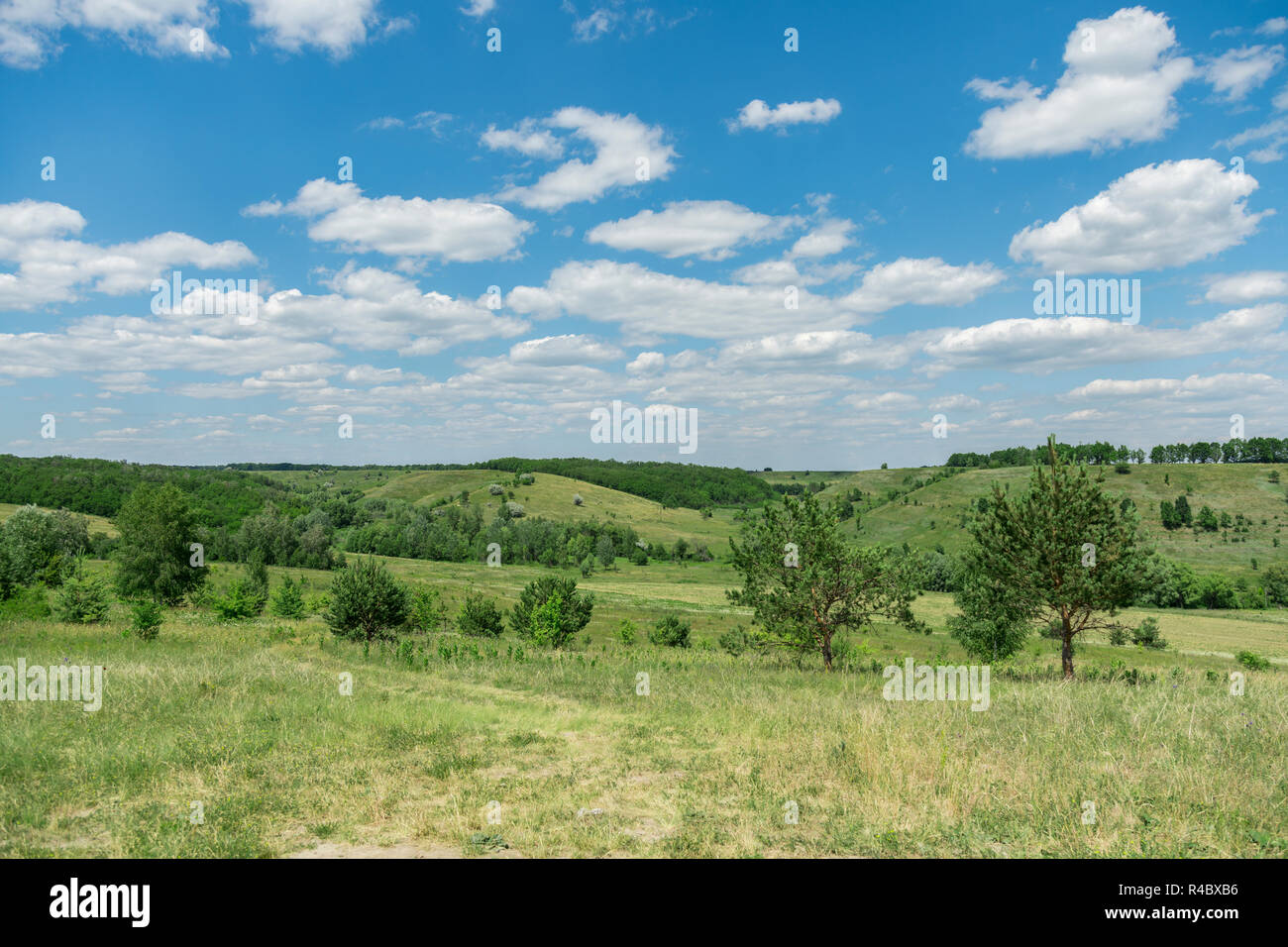 Beautiful green landscape. blue sky and clouds. Lawn. Lawn with forest ...
