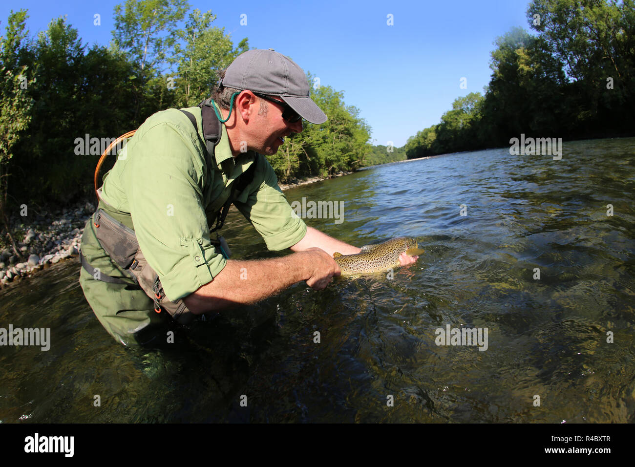 Fisherman releasing trout in river Stock Photo - Alamy