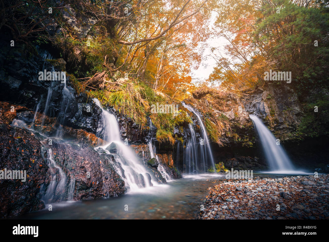 Waterfall with autumn foliage in Fujinomiya, Japan Stock Photo - Alamy