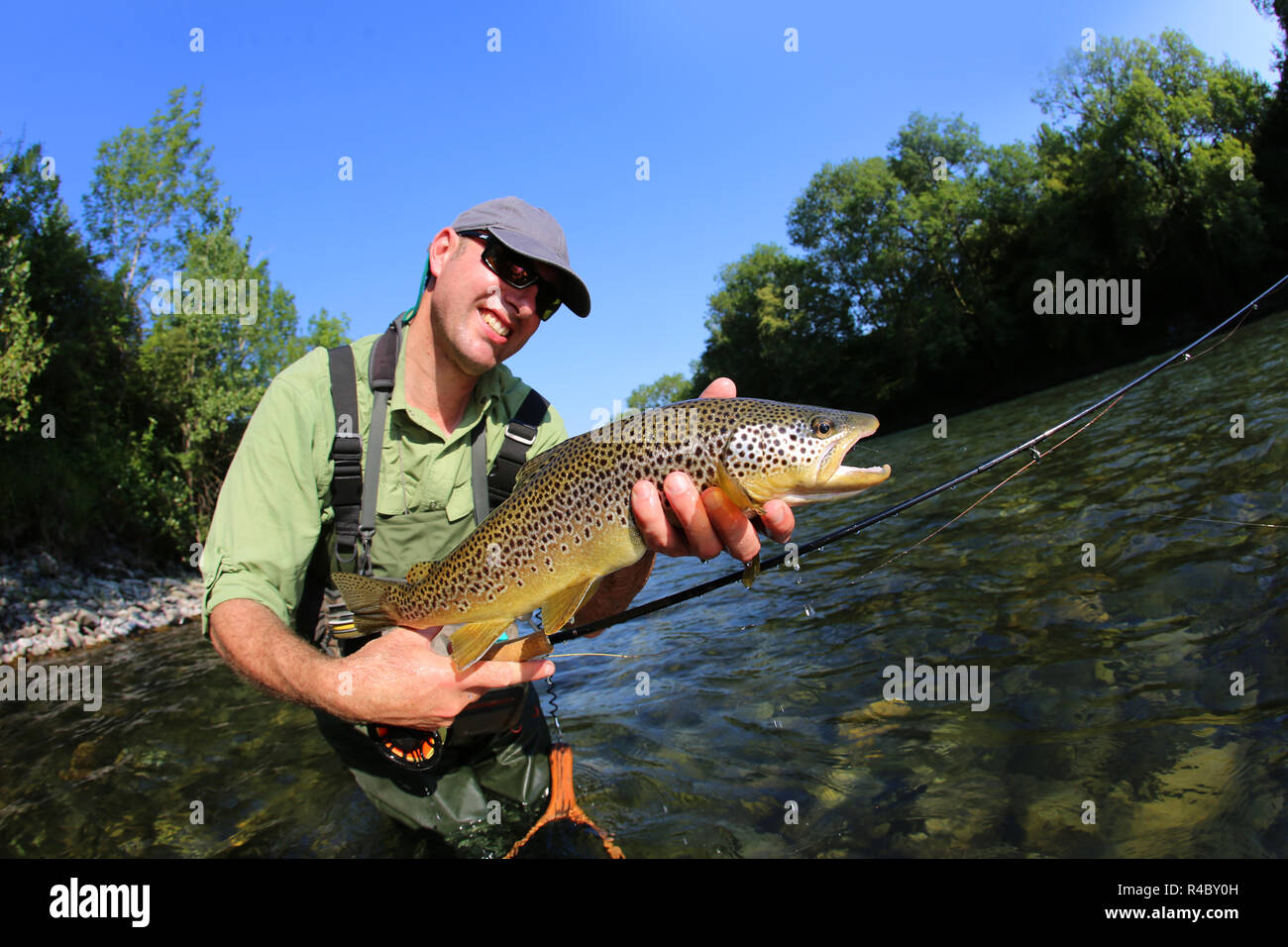 Closeup of fly-fisherman holding brown truit in river Stock Photo - Alamy