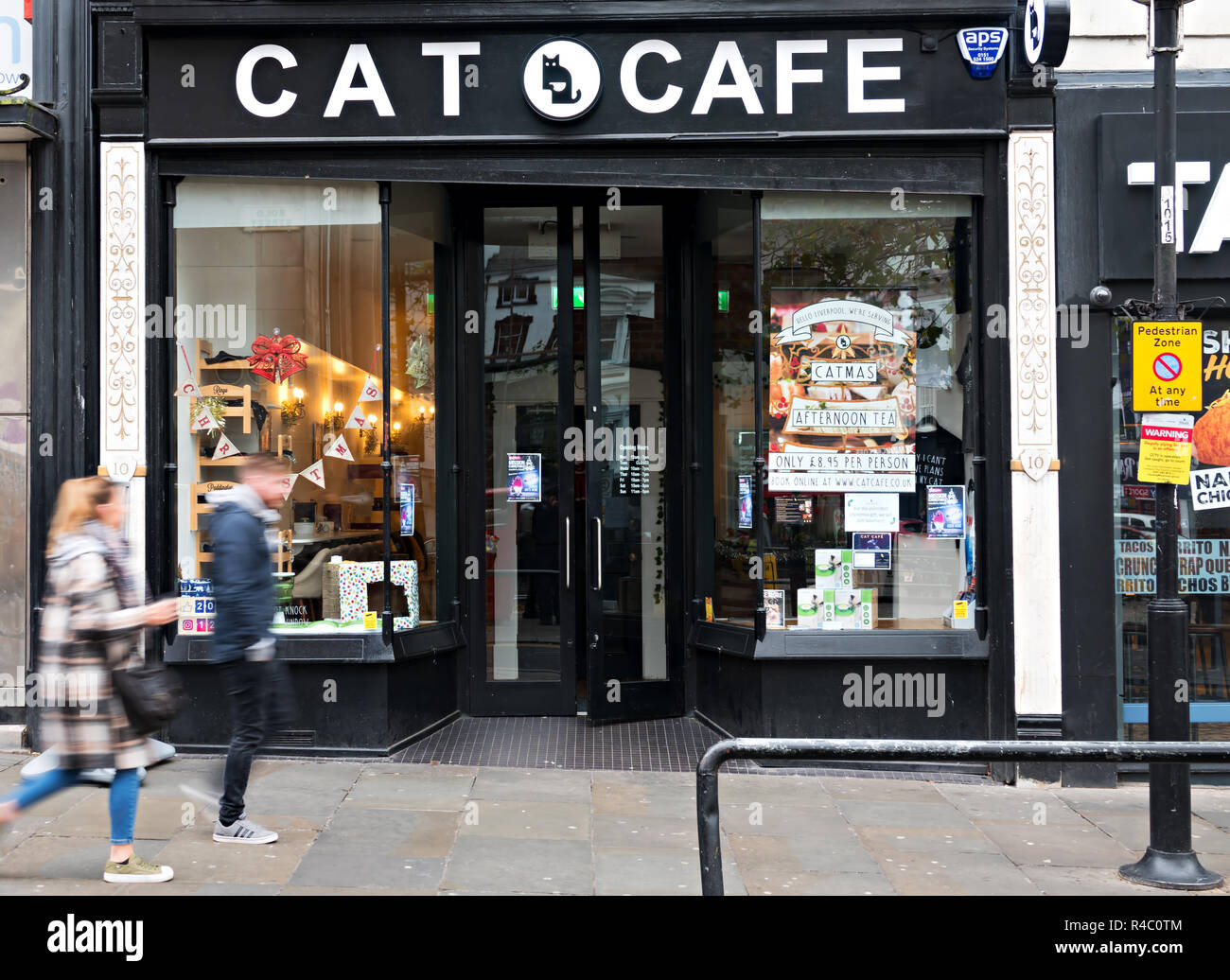 Cat cafe liverpool hi-res stock photography and images - Alamy