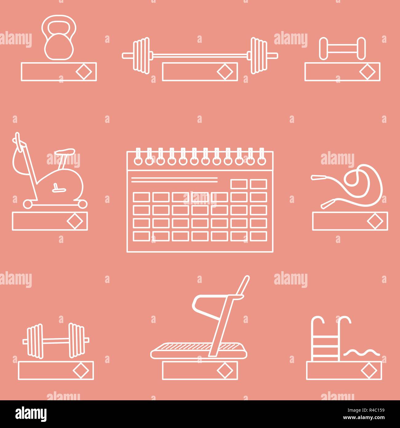 Time to fitness. 2019 fitness concept with sports equipment. Healthy ...