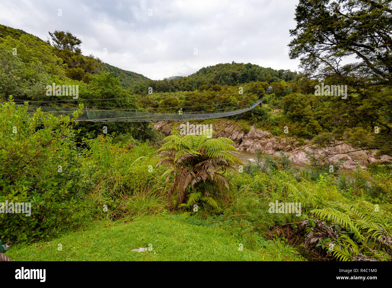 Buller Gorge Swing Bridge over Buller river, West Coast, South Island ...