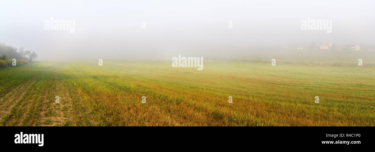 Field and fog Stock Photo - Alamy