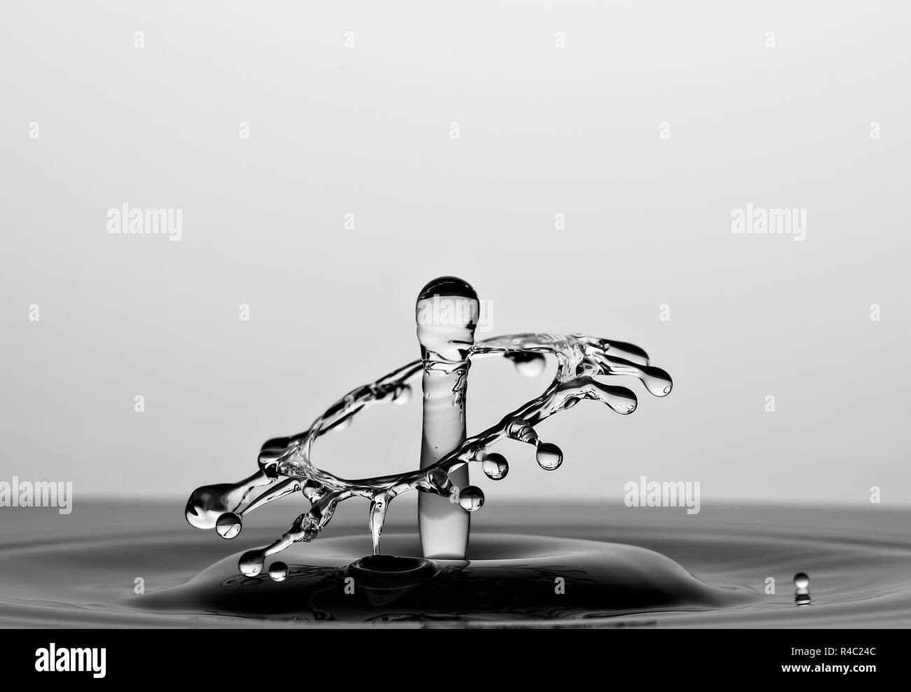 Water drop formation Black and White Stock Photos & Images - Alamy