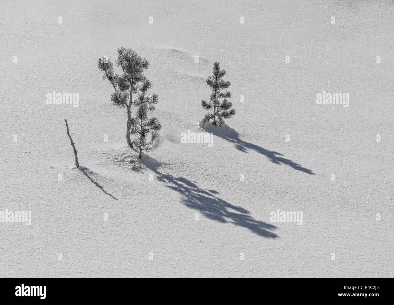 Environment snow hi-res stock photography and images - Alamy