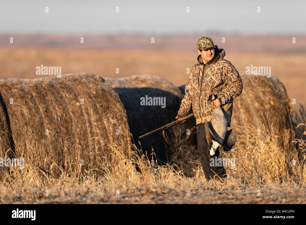 Lesser Canada Goose High Resolution Stock Photography and Images - Alamy