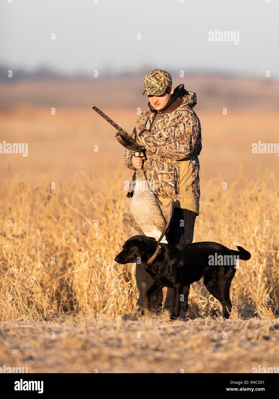 A Goose hunter and his hunting dog Stock Photo - Alamy