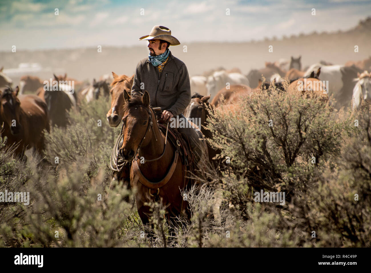 Ranch hand working hi-res stock photography and images - Alamy