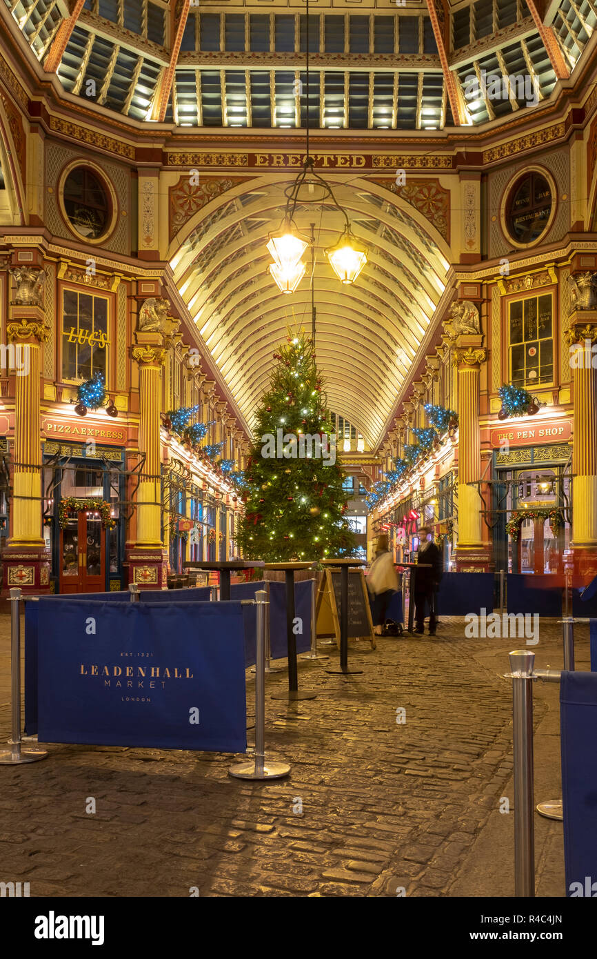 Oldest tree uk hi-res stock photography and images - Alamy