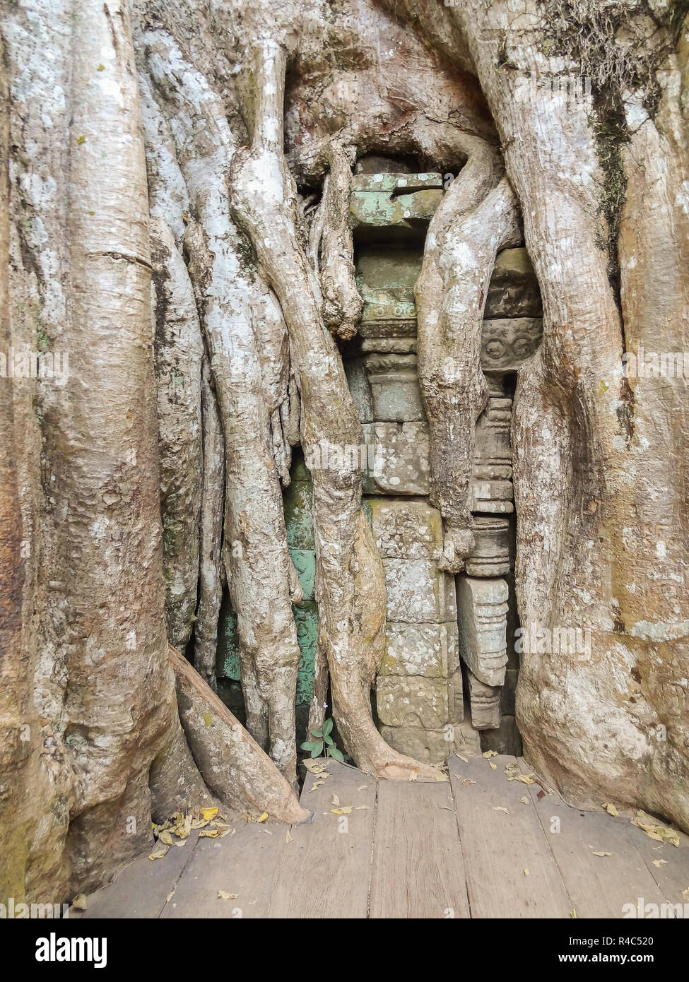 temple detail at ankor thom Stock Photo - Alamy