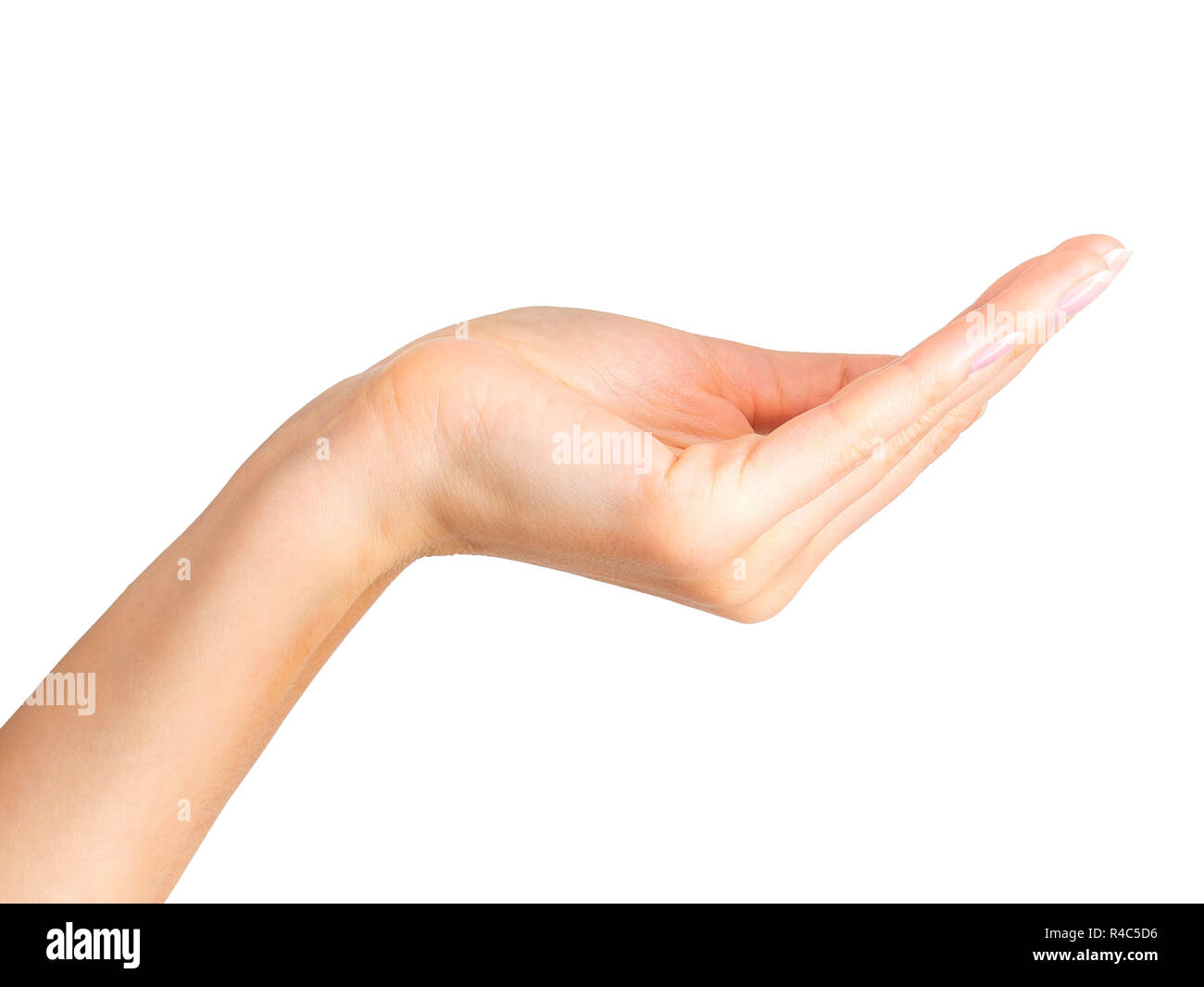 Woman showing open hand taking or showing something Stock Photo - Alamy