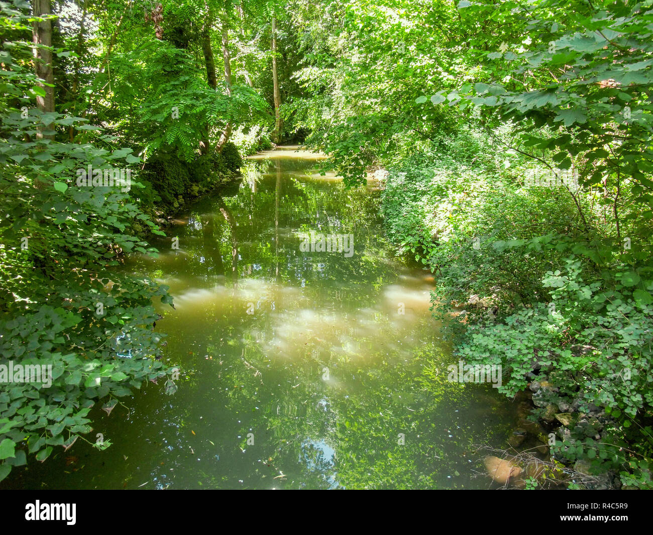 idyllic overgrown stream Stock Photo - Alamy