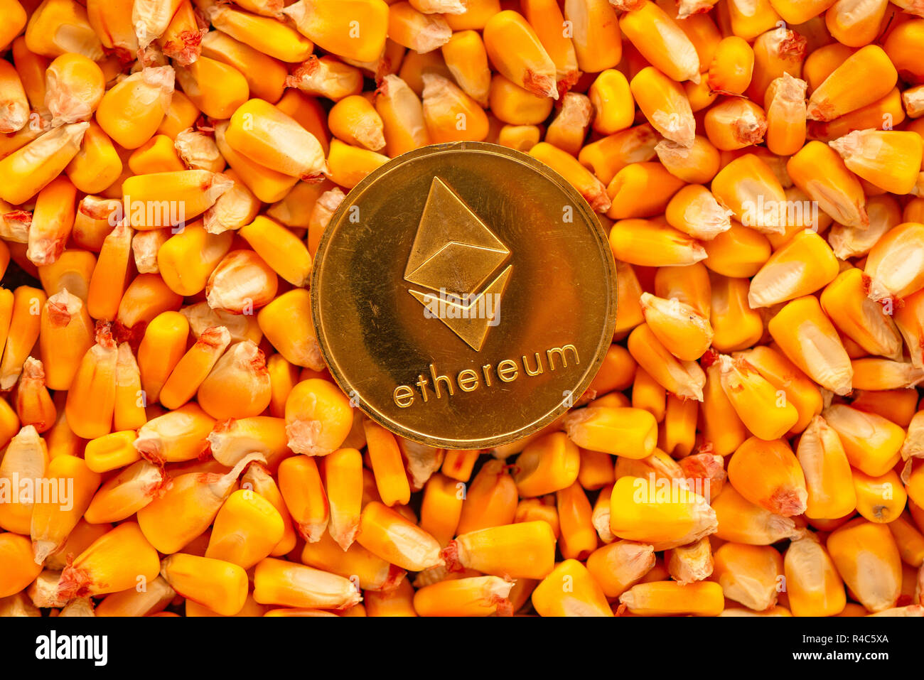 Ethereum coin on top of corn kernels heap, conceptual image for ...