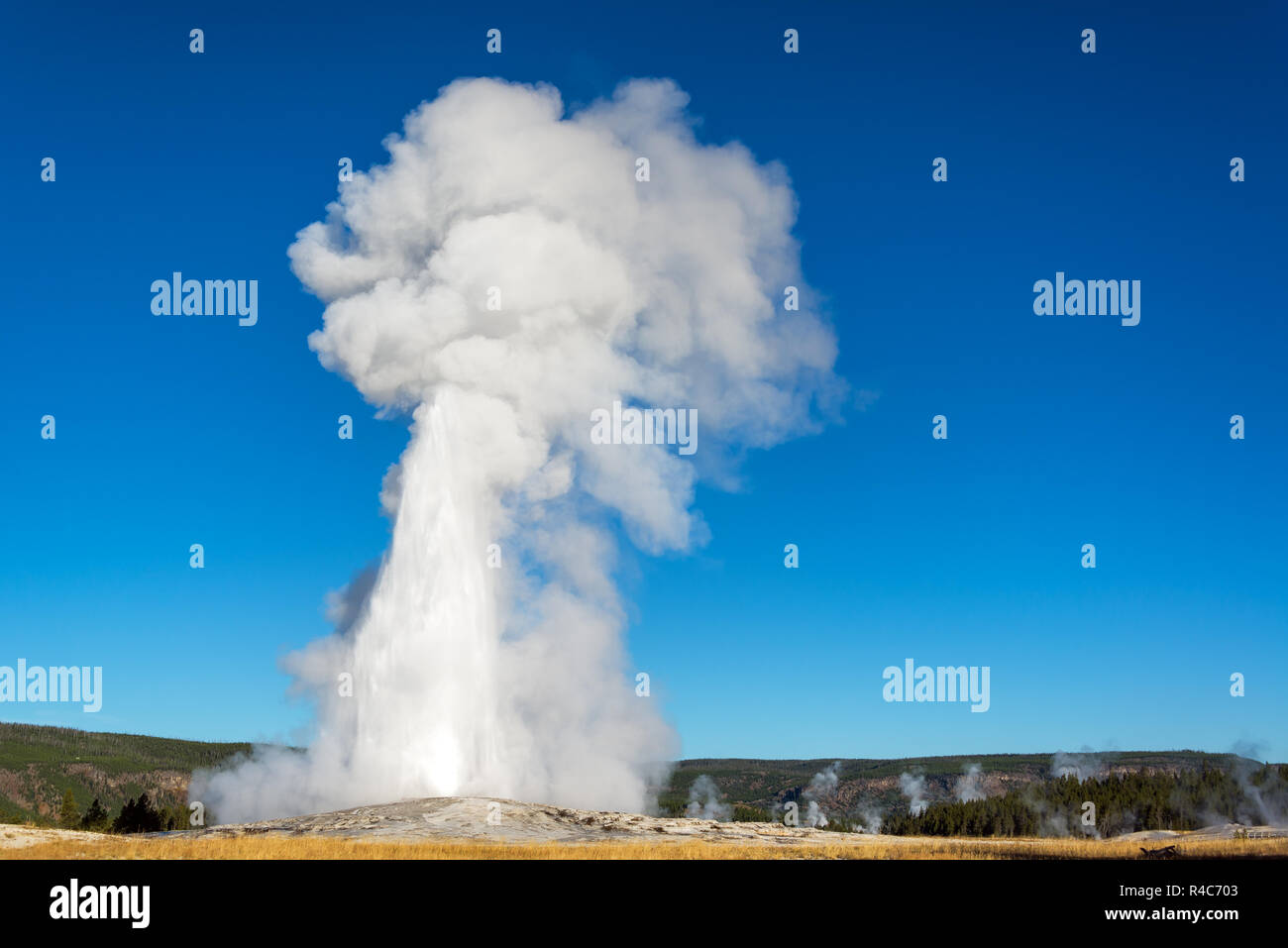 View of Old Faithful Eruption Stock Photo - Alamy
