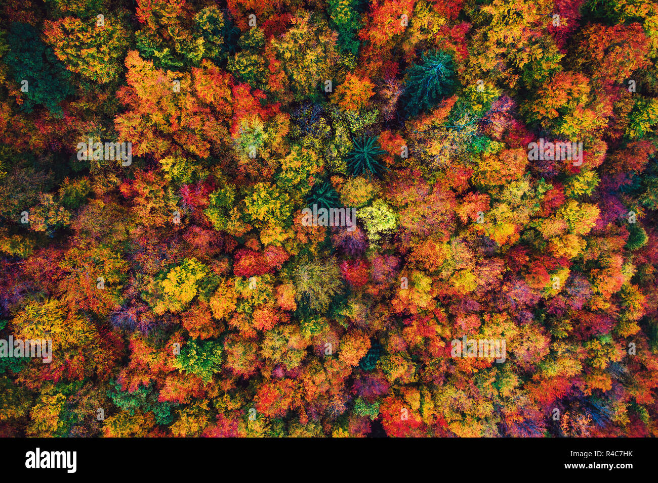 Aerial view over autumn forest Stock Photo - Alamy