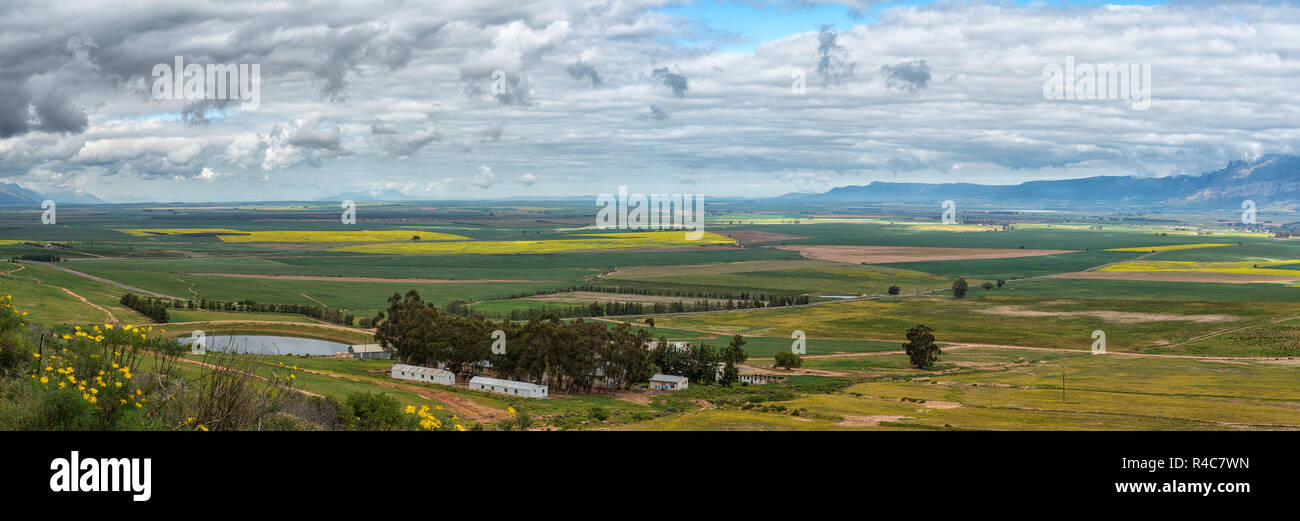 Piketberg western cape hi-res stock photography and images - Alamy