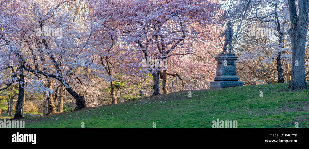 Central Park, Manhattan, New York City in spring Stock Photo - Alamy
