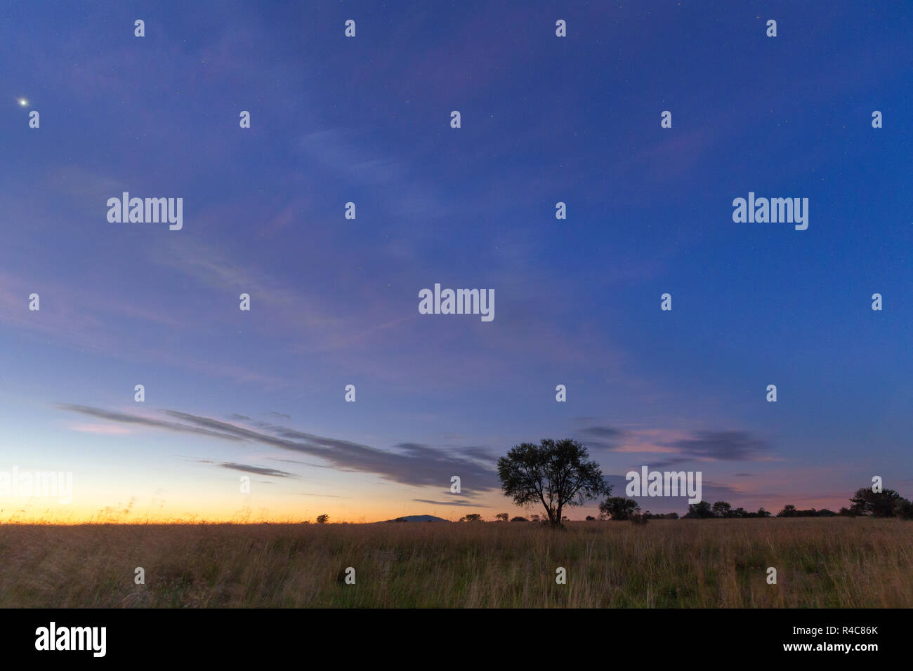 The last stars during blue hour Stock Photo - Alamy