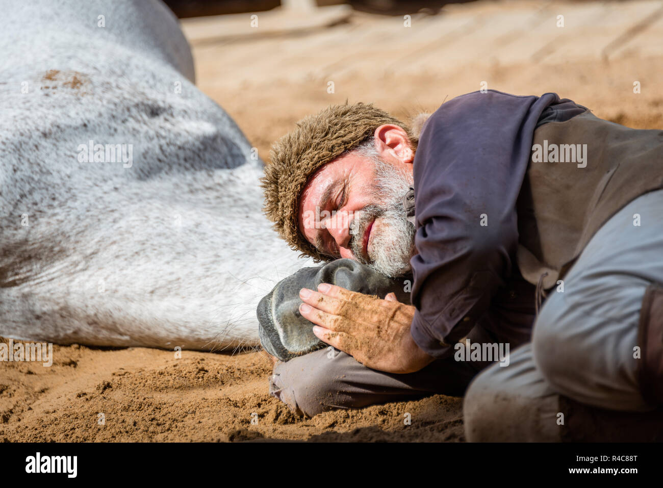 Love between man and horse Stock Photo - Alamy