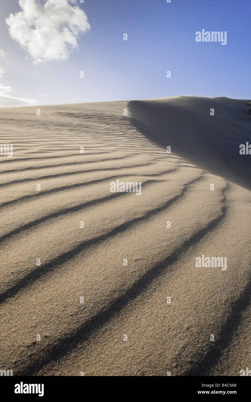 Wind blowing sand over dune Stock Photo - Alamy