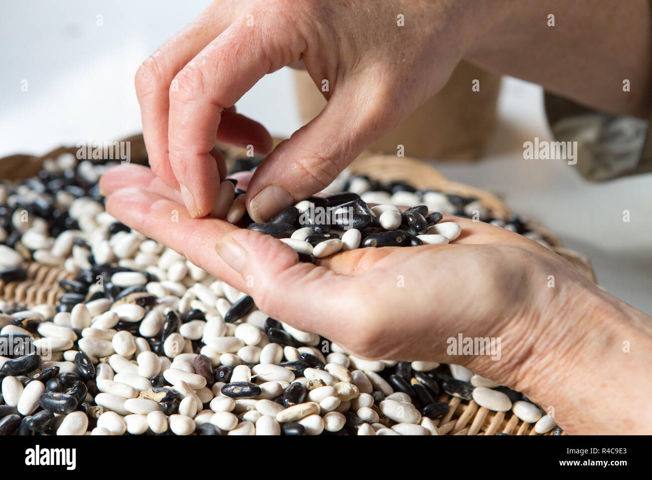 A hand holding beans Stock Photo - Alamy