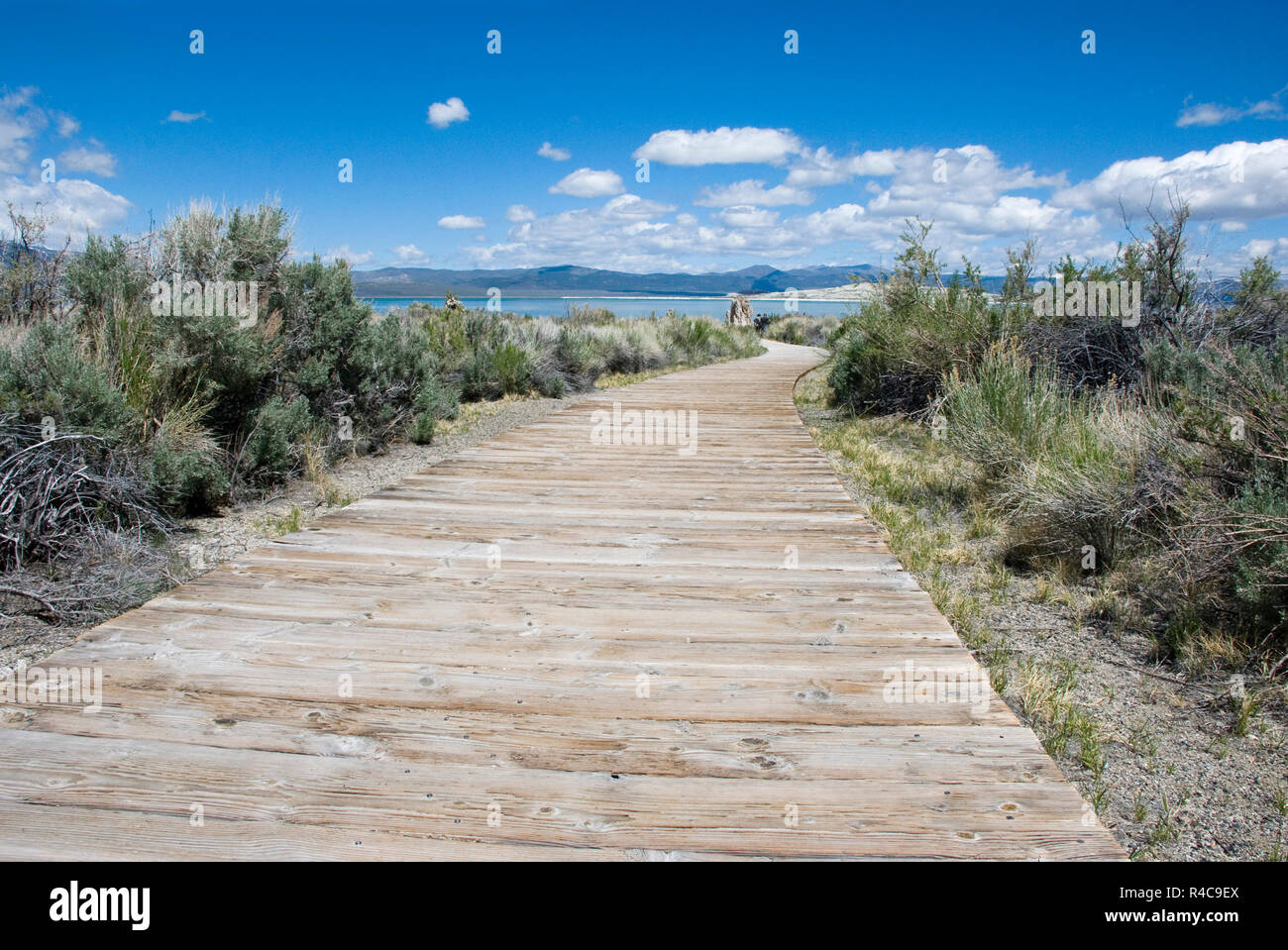 Mono way hi-res stock photography and images - Alamy