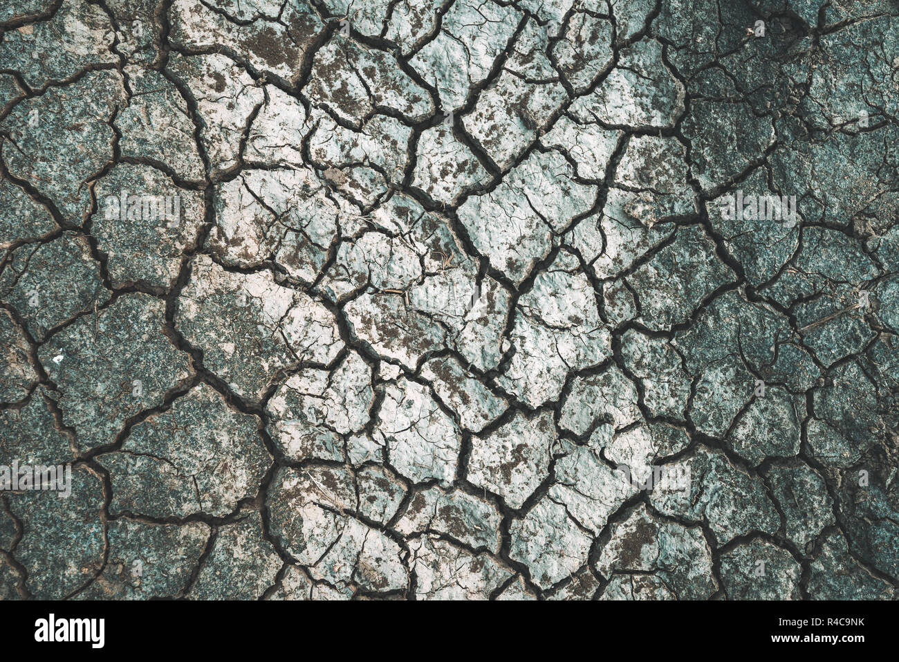 Mudcrack texture top view, dried and contracted muddy sediment from ...