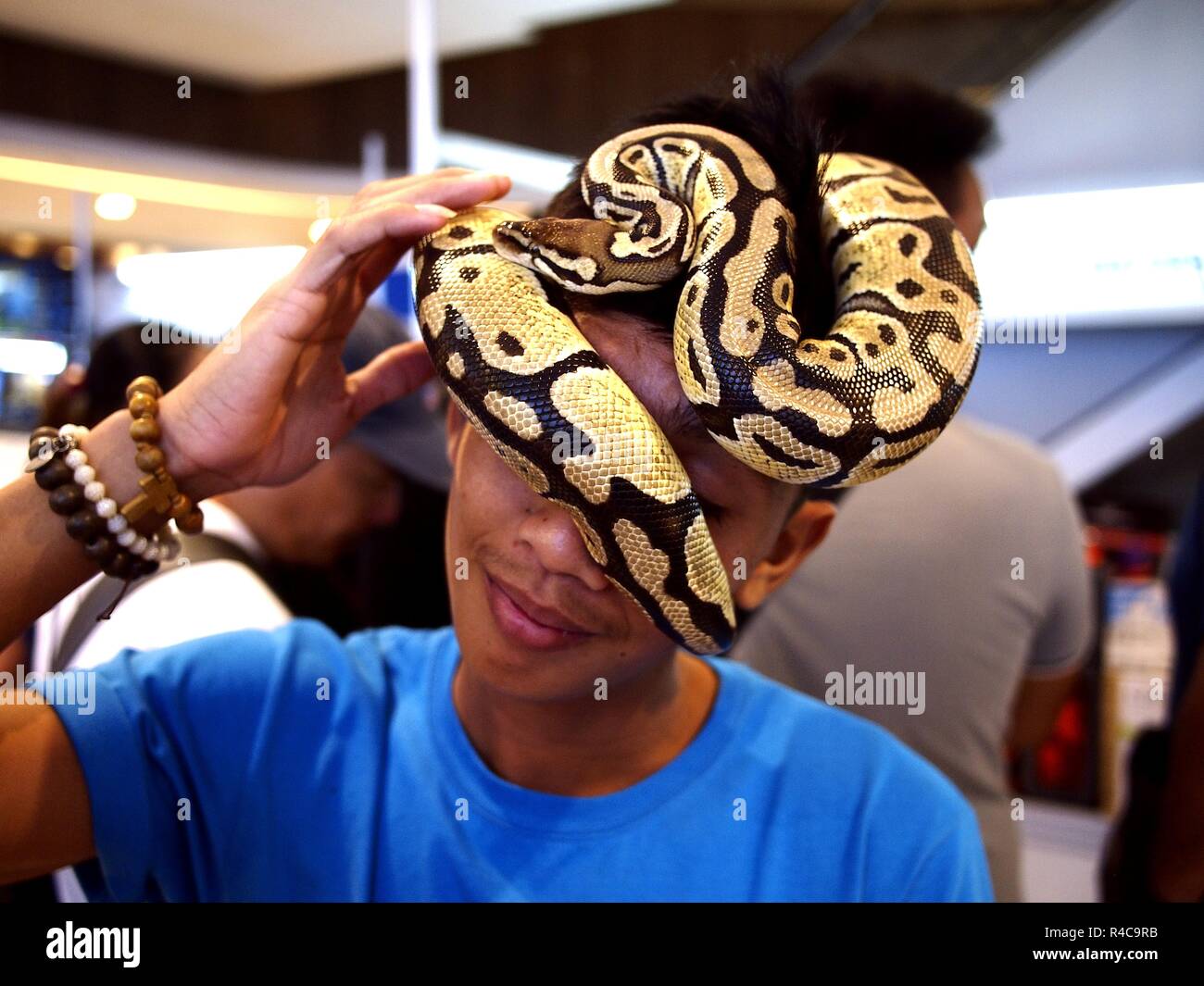 Filipino pet hi-res stock photography and images - Alamy