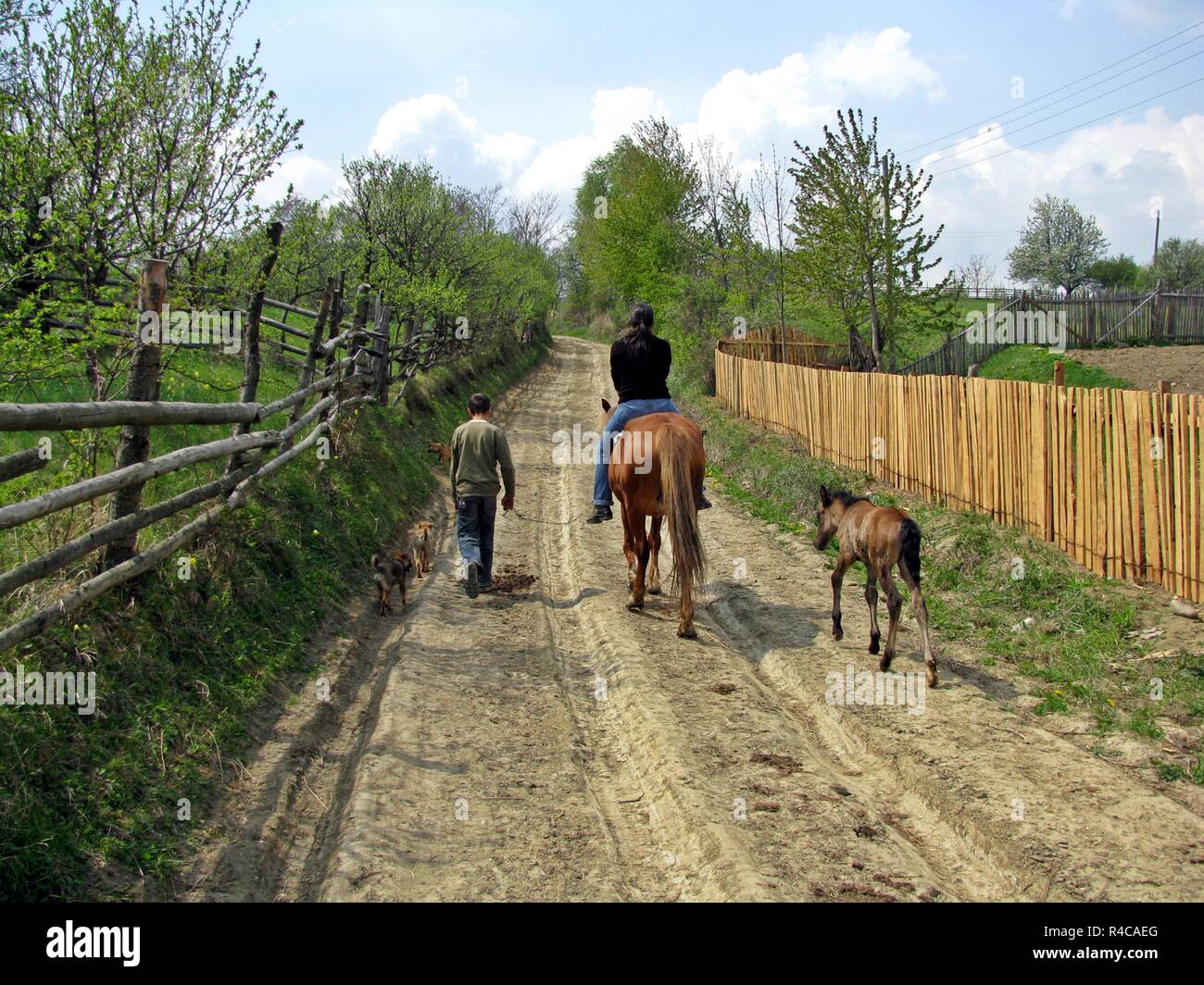 People riding a horse on an unpaved country road Stock Photo - Alamy