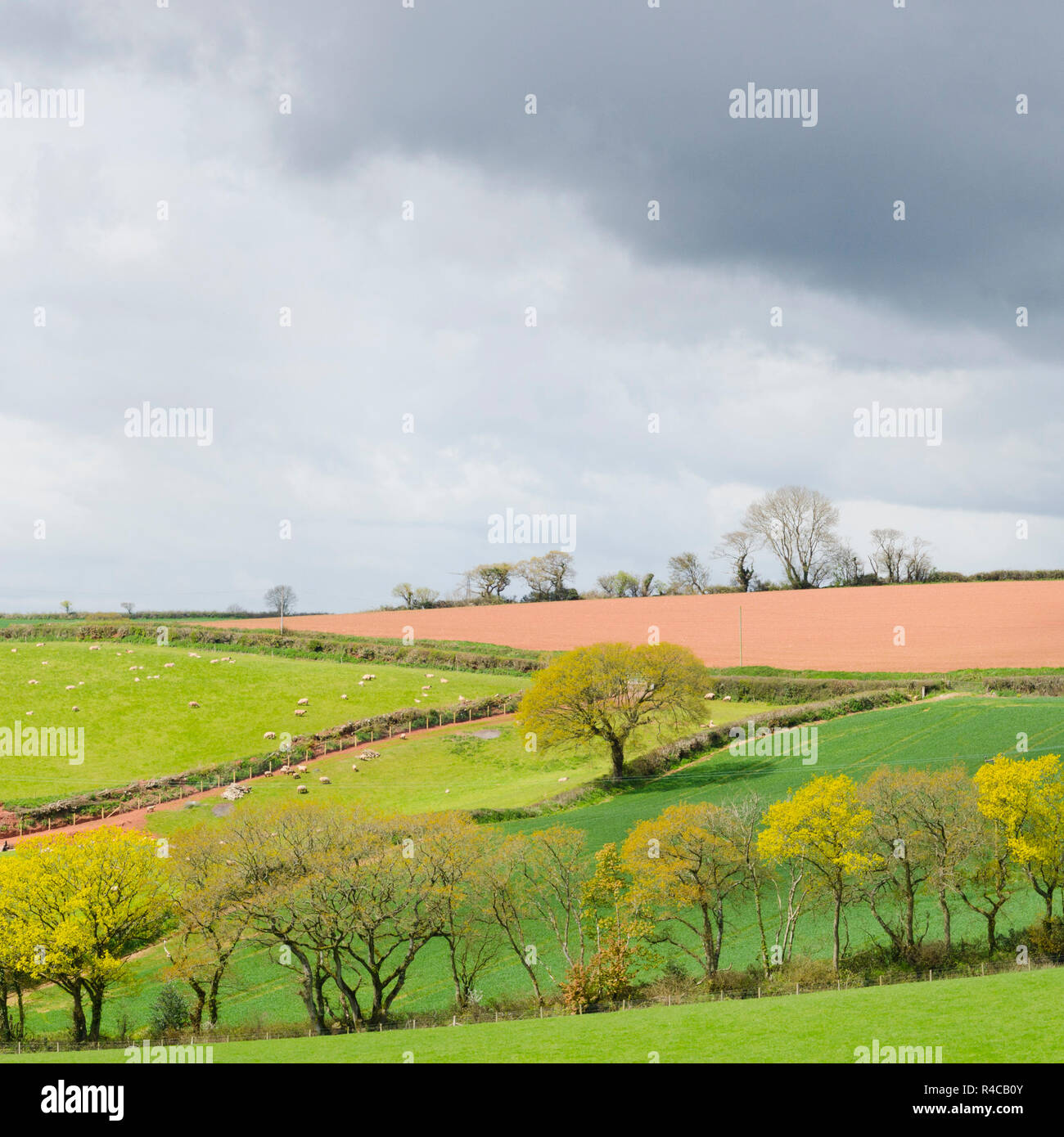 Mid devon hi-res stock photography and images - Alamy