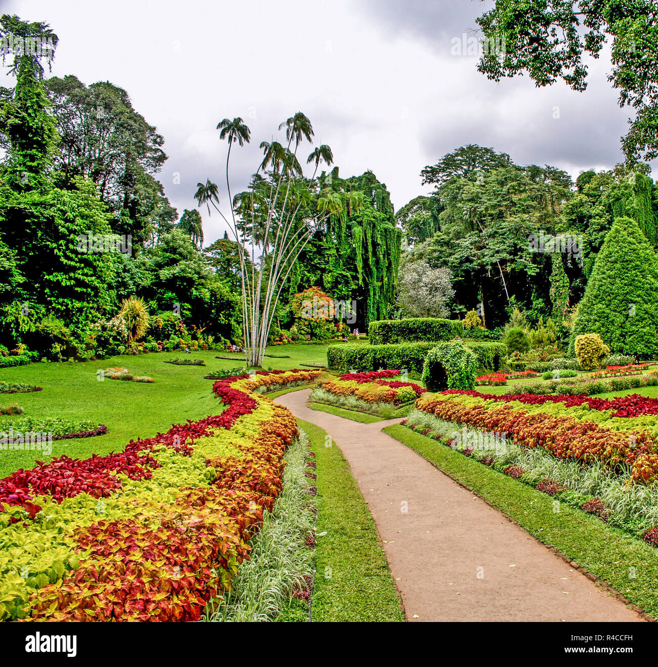 Banjan tree hi-res stock photography and images - Alamy