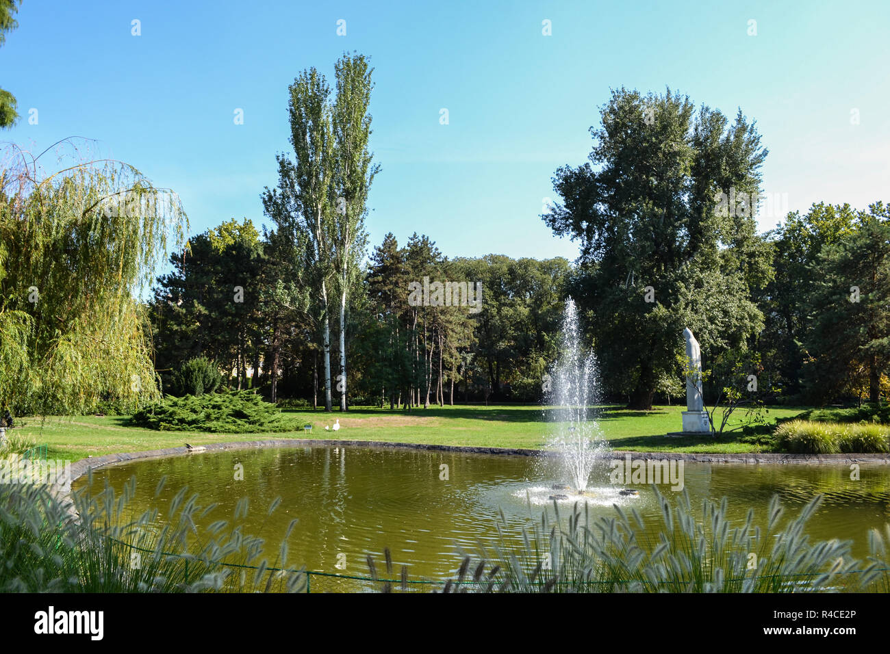 Fountain in a pond in a park in Novi Sad Stock Photo - Alamy