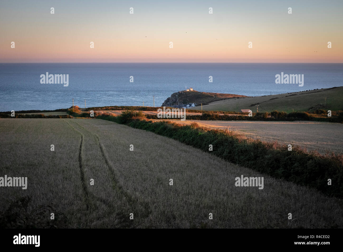 View across fields to Prawle Point, Devon, late summer evening Stock ...