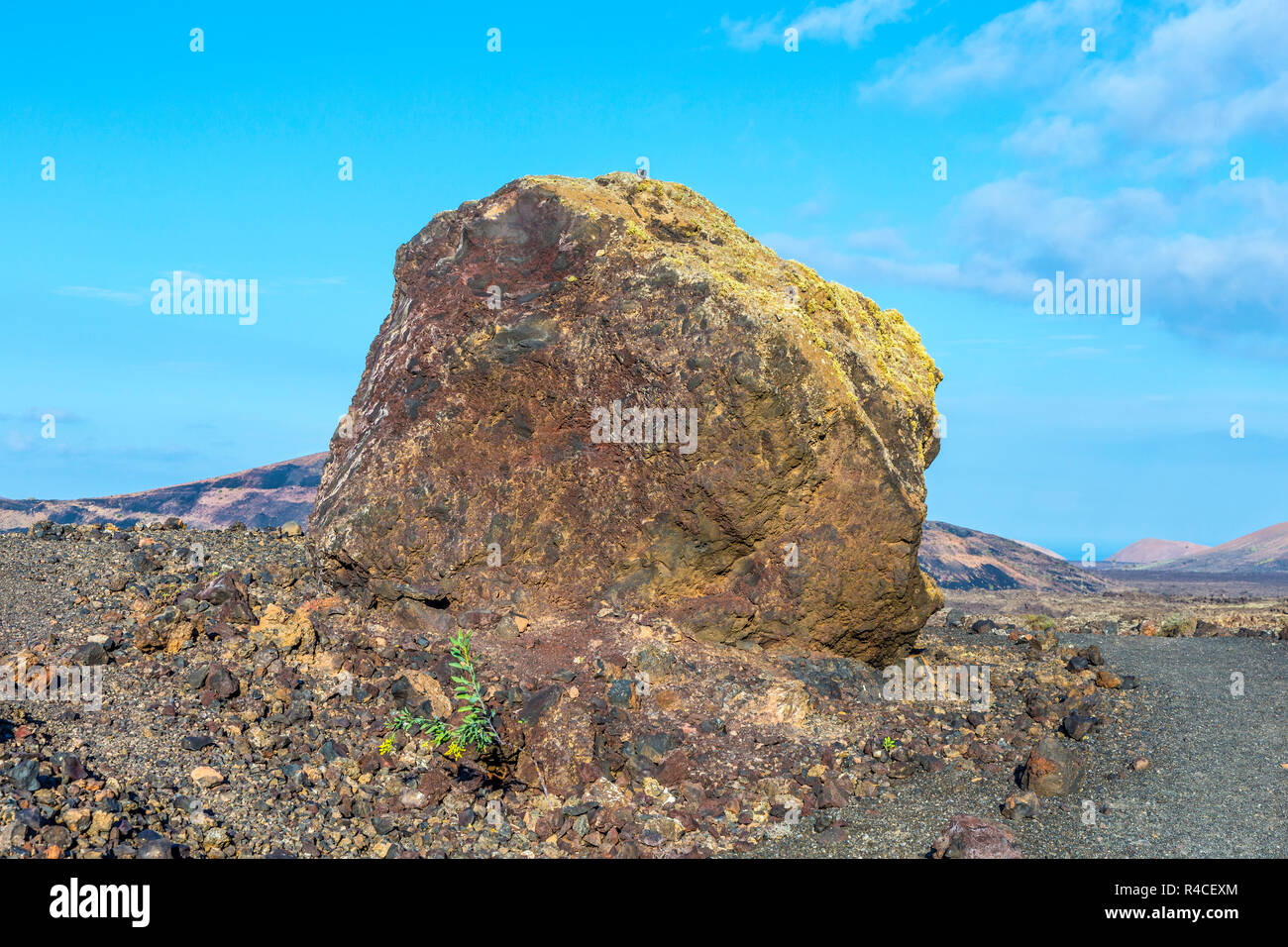 volcanic bomb in front of volcano montana colorada in lanzarote,tinajo ...