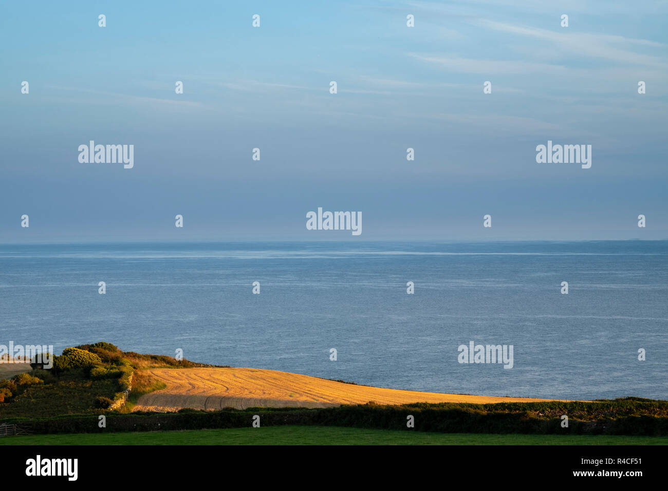 sunlight on fields at East Prawle, South Devon Stock Photo - Alamy