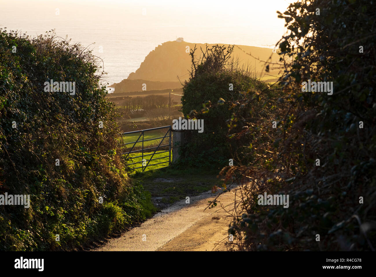 Warm evening sunlight in winter, in the village of East Prawle, devon ...