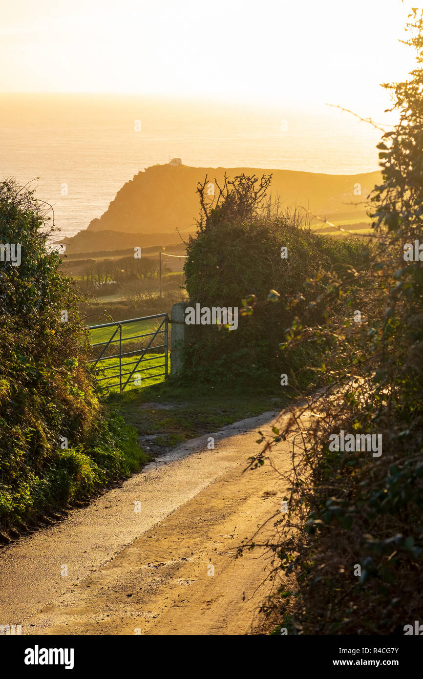 Warm evening sunlight in winter, in the village of East Prawle, devon ...